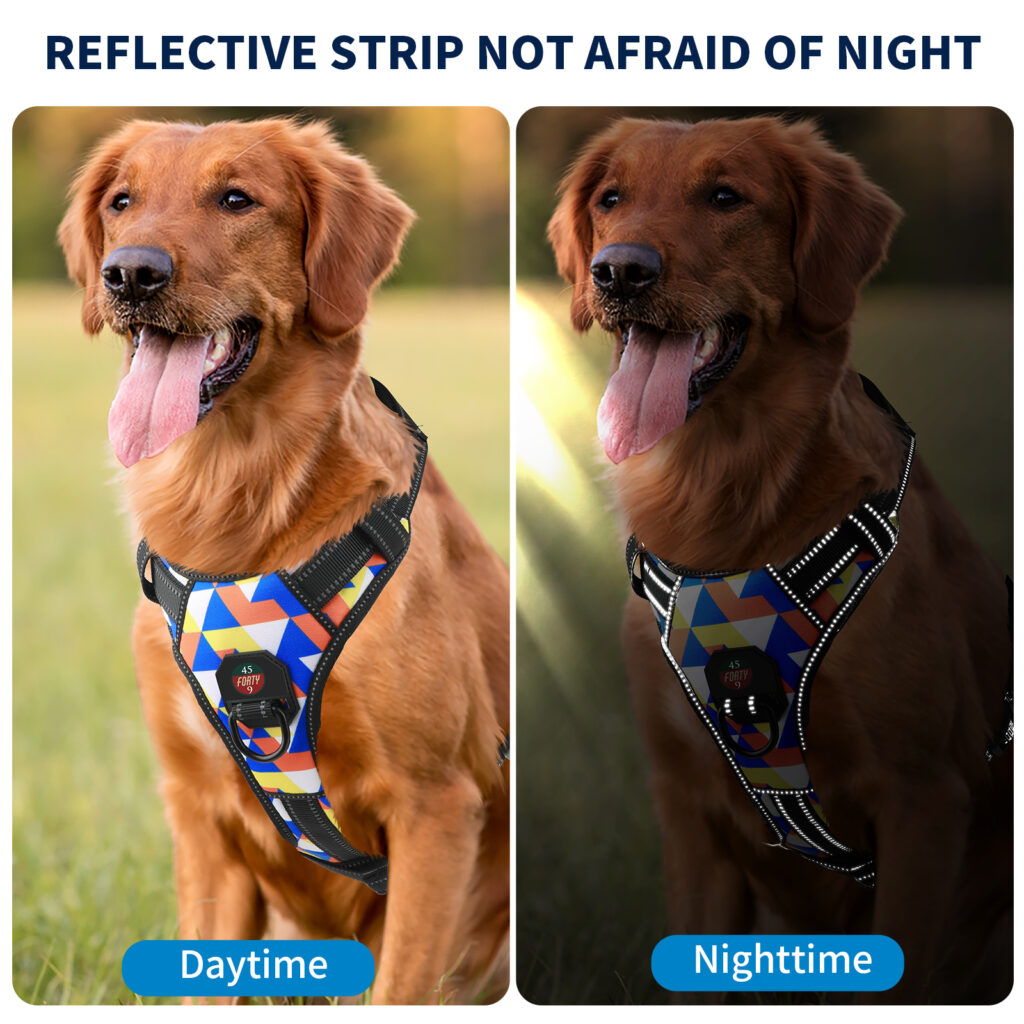 Reflective Harness - 45forty9